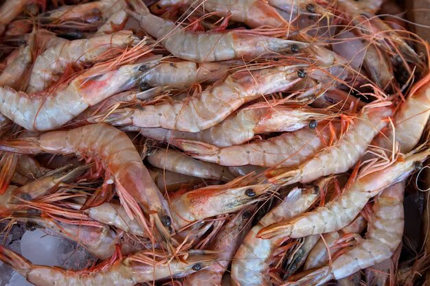 Products – Godrej Shrimp Feeds